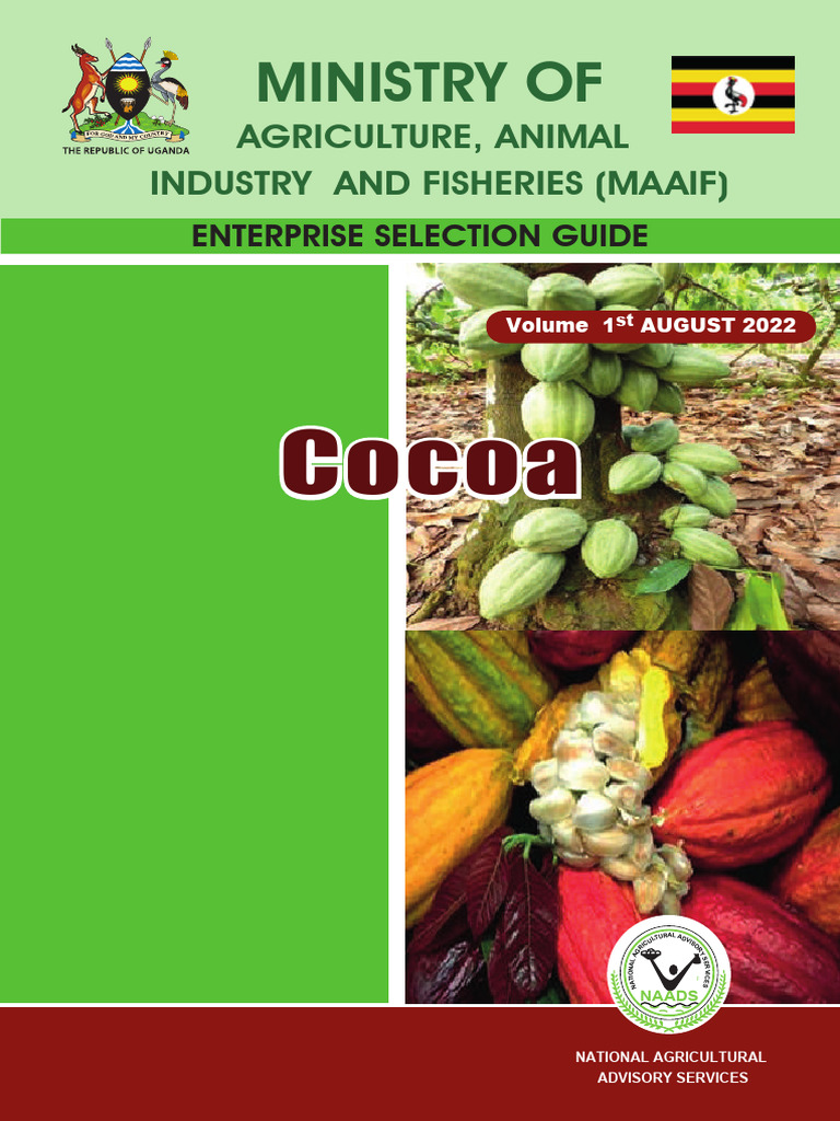Cocoa | PDF