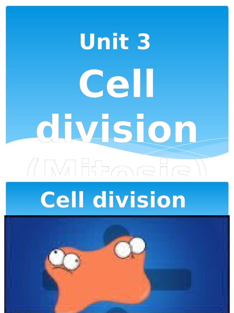 Cell Division Class Notes | PDF
