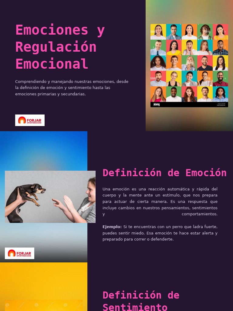 Emociones y Regulacion Emocional | PDF