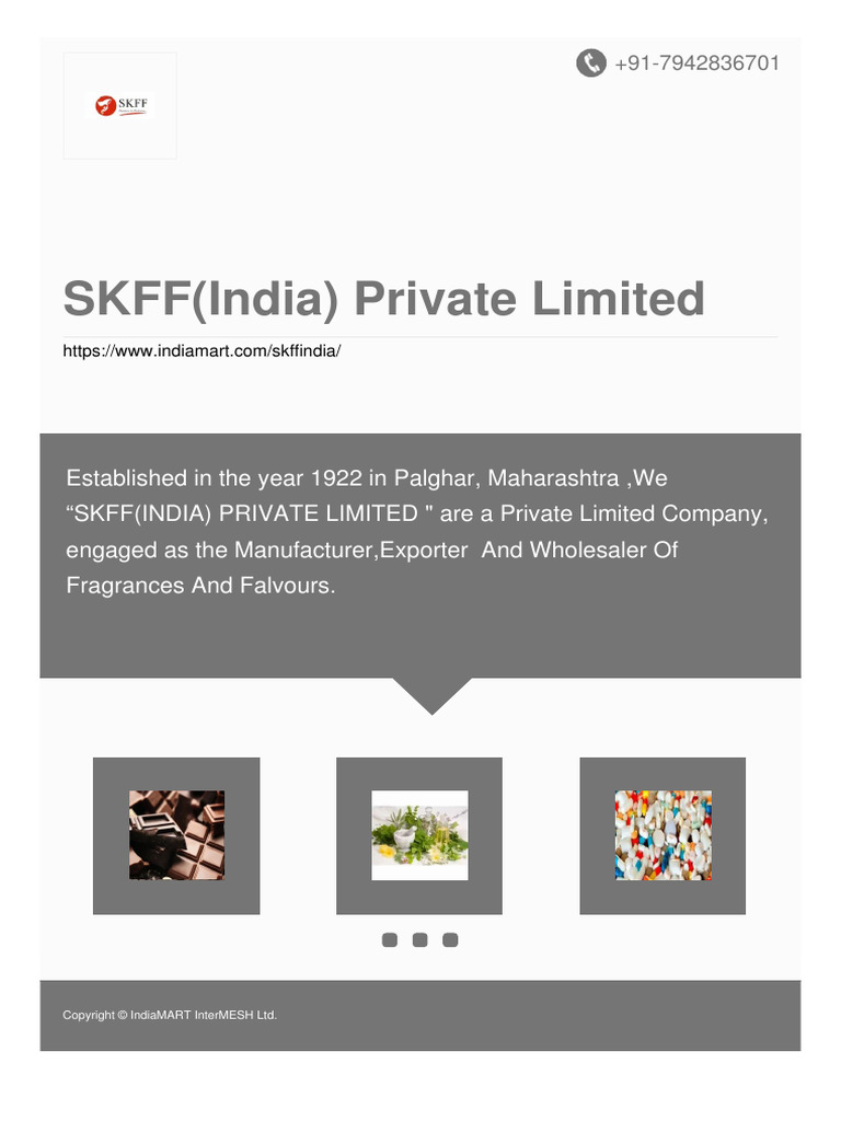 SKFF India Private Limited | PDF