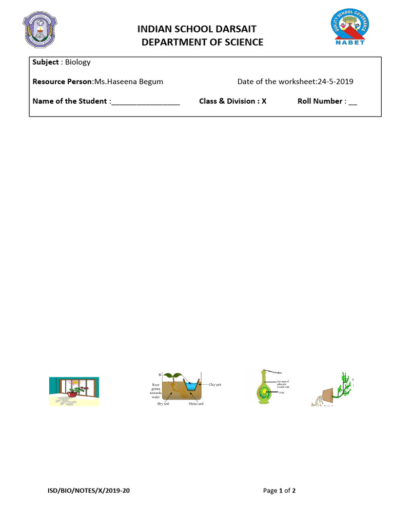 Worksheet-Control and Coordination-Class10 - 2019 | PDF | Hormone ...