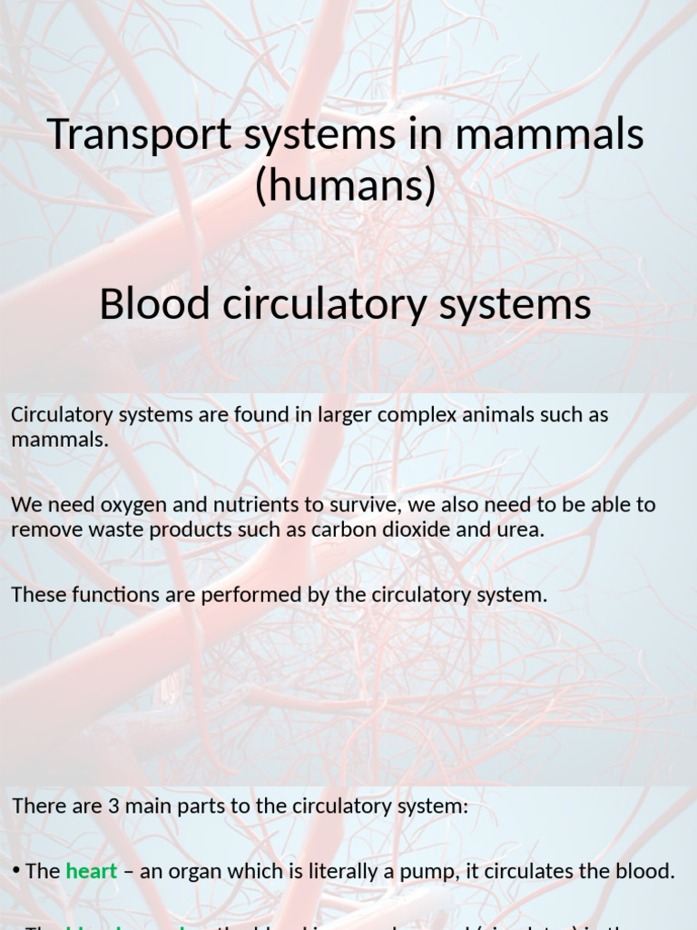 Transport Systems in Animals (Circulatory System) | PDF