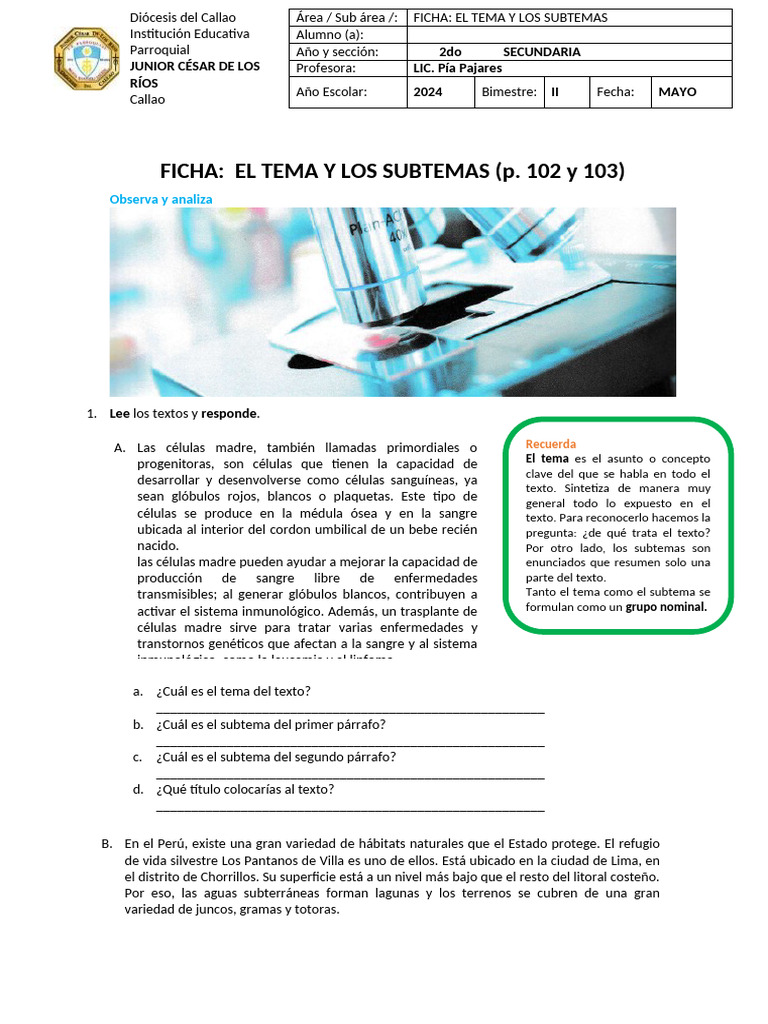 TEMA 12. EL TEMA Y LOS SUBTEMAS - Actividad | PDF | Sangre | Célula madre