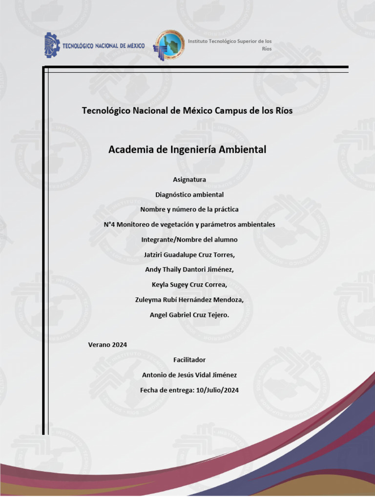 Practica 4 Diag - Amb | PDF