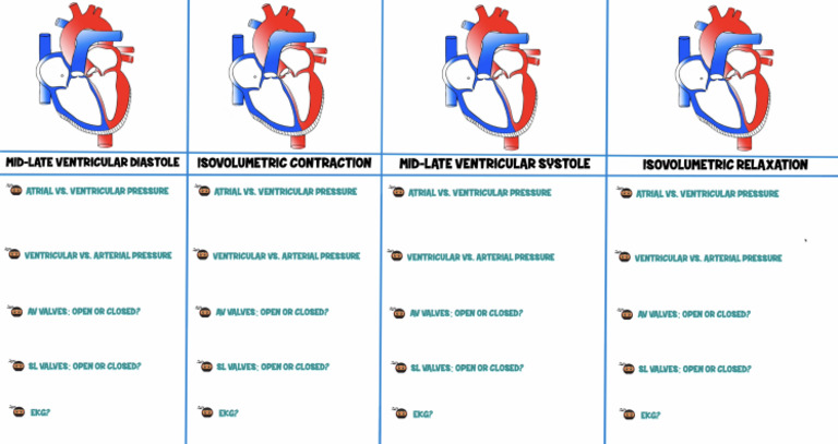 Cardiovascular Physiology) 08 Cardiac Cycle Digital - Handout | PDF
