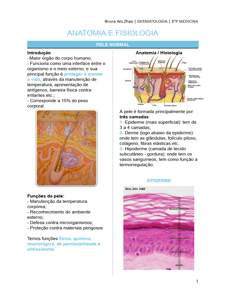 Anatomia E Fisiologia Da Pele Pdf