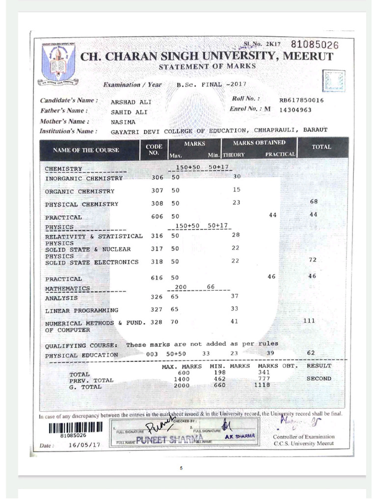 B.Sc. Final Year Marksheet | PDF