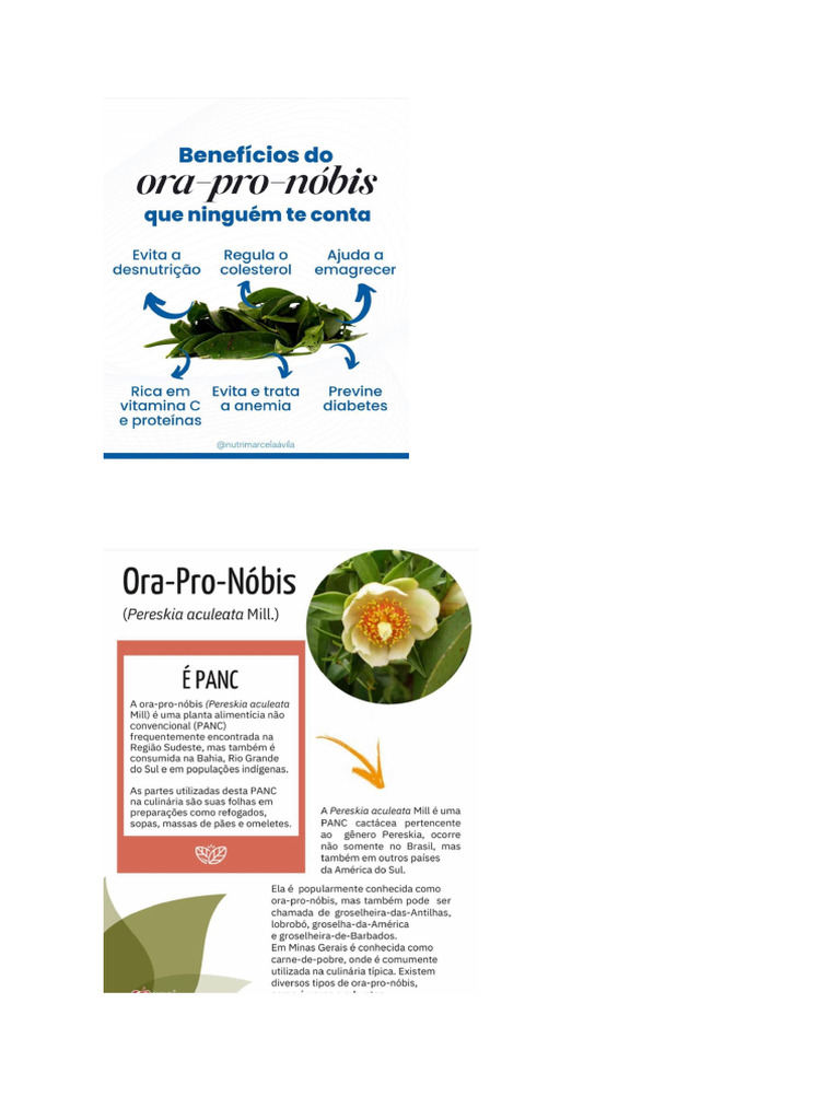 Ora Pro Nobis - Informações Adicionais | PDF