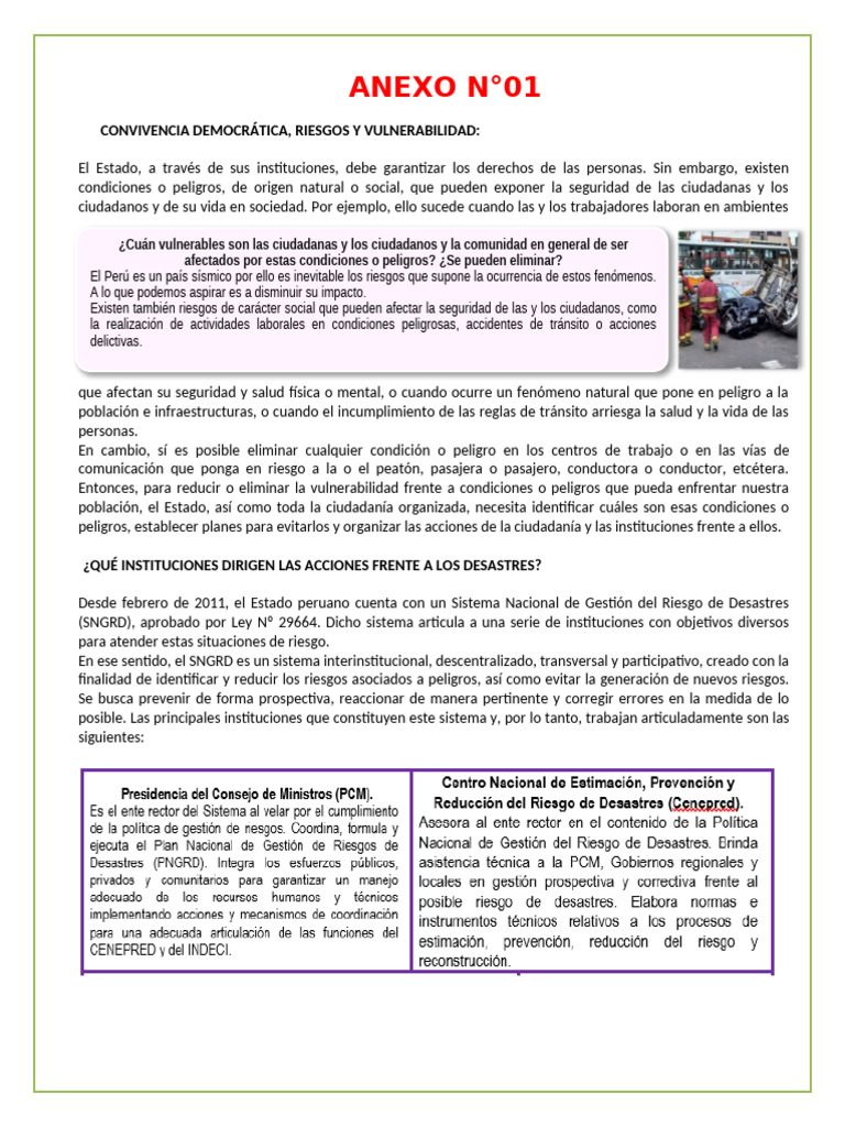 Unidad 8 - Anexos - Sem 2 - DPCC 4° | PDF