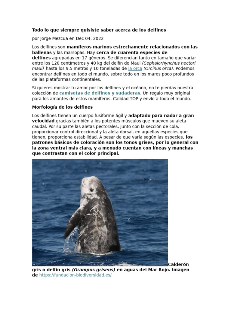 Todo Lo Que Siempre Quisiste Saber Acerca de Los Delfines | PDF