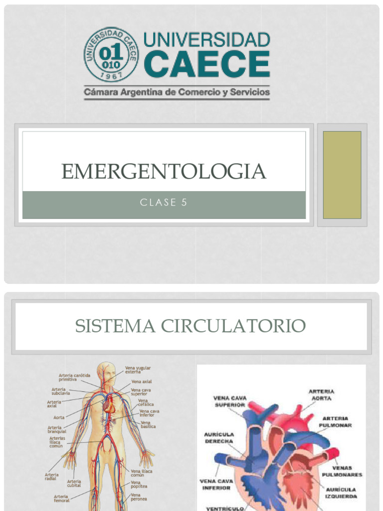 Clase 5 Emergentologia | PDF