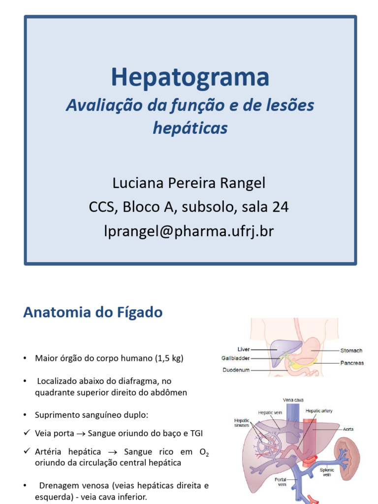 Aula Hepatograma 2024.1 | PDF