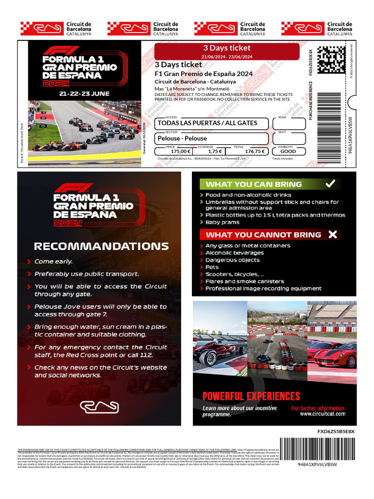 3 Days Ticket | PDF