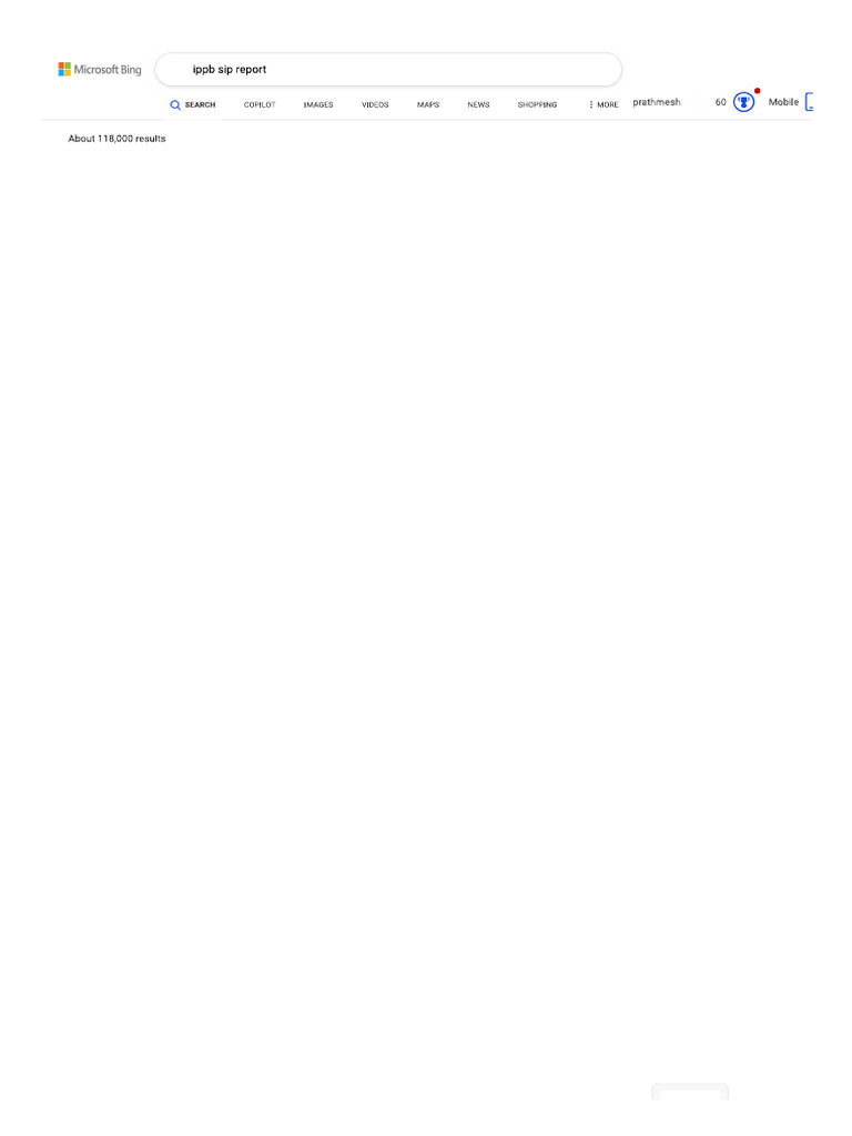 Report of Bing | PDF