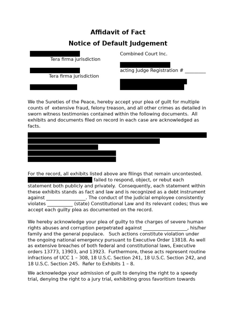 Affidavit of Fact Notice of Default Judgement | PDF