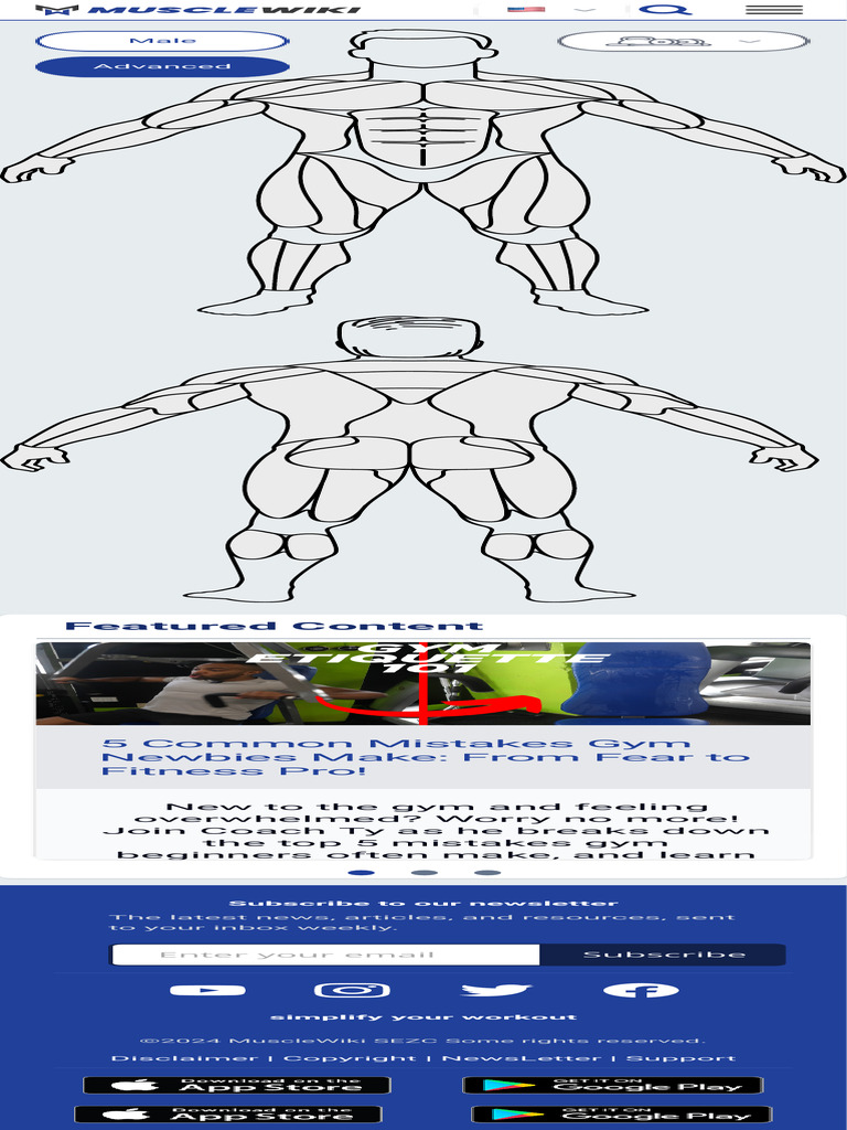 MuscleWiki - Simplify Your Workout 2 | PDF