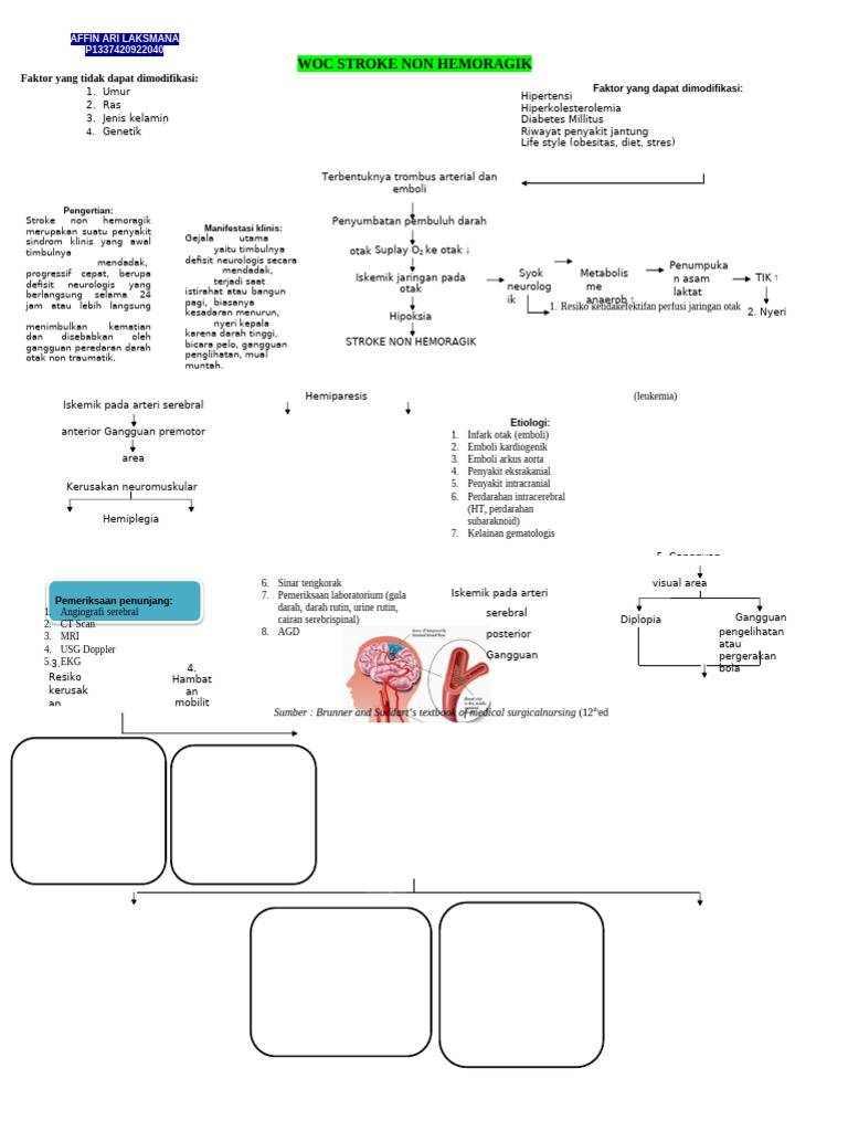 Woc SNH Affin Ari L - 040 | PDF