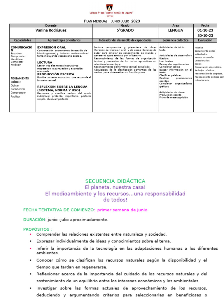 Plan Junio Julio ST | PDF