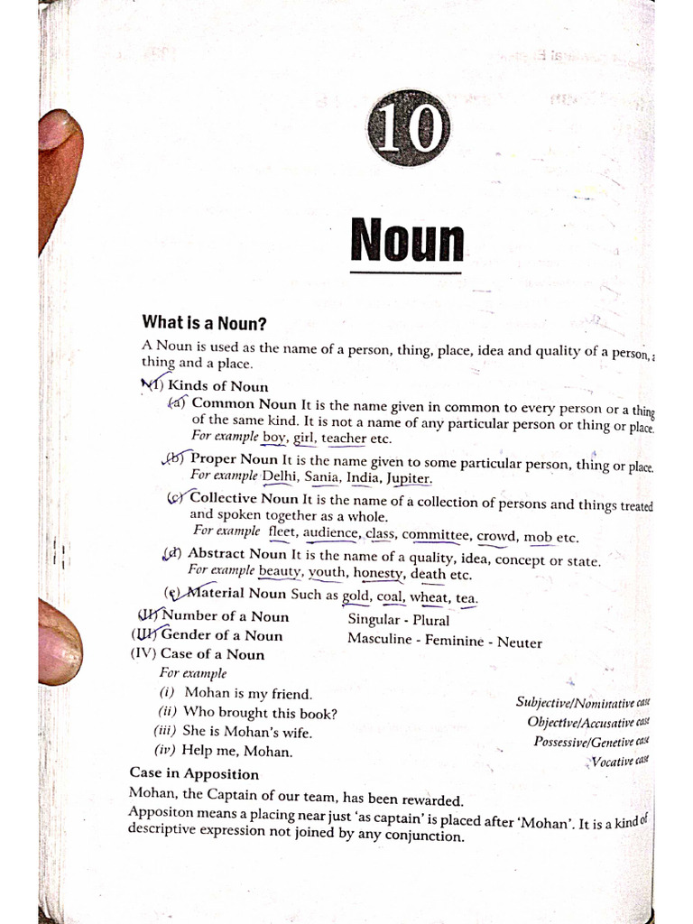 Noun | PDF