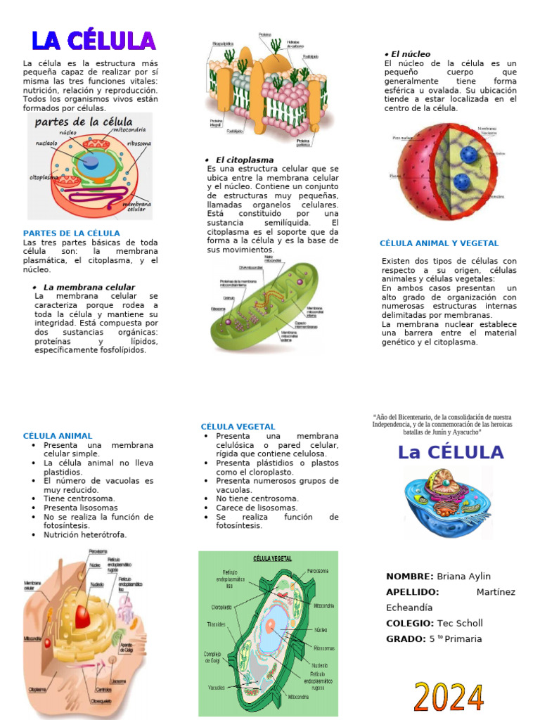 Triptico de La Celula | PDF