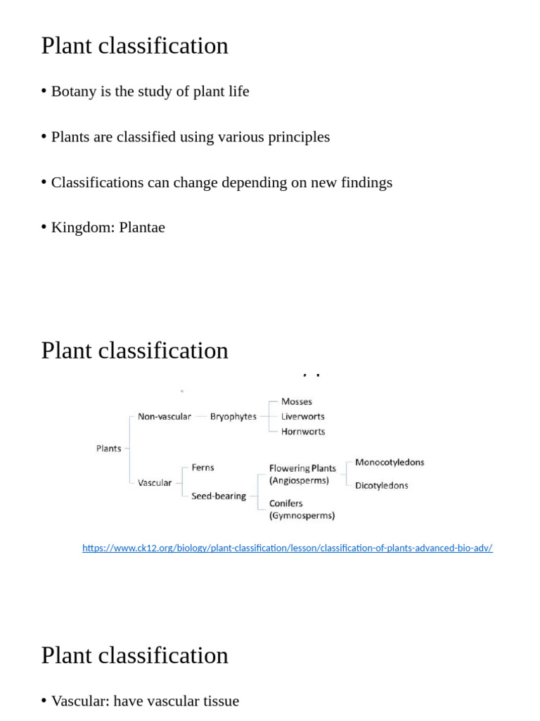 Plant Classification | PDF