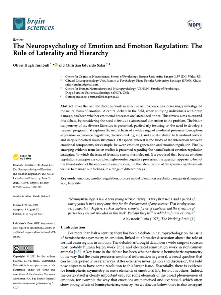 Emotion Regulation | PDF