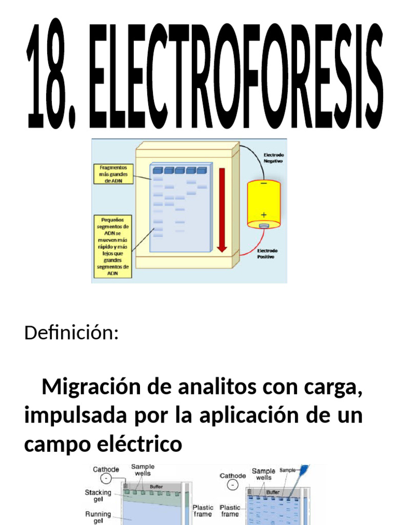 Electroforesis | PDF