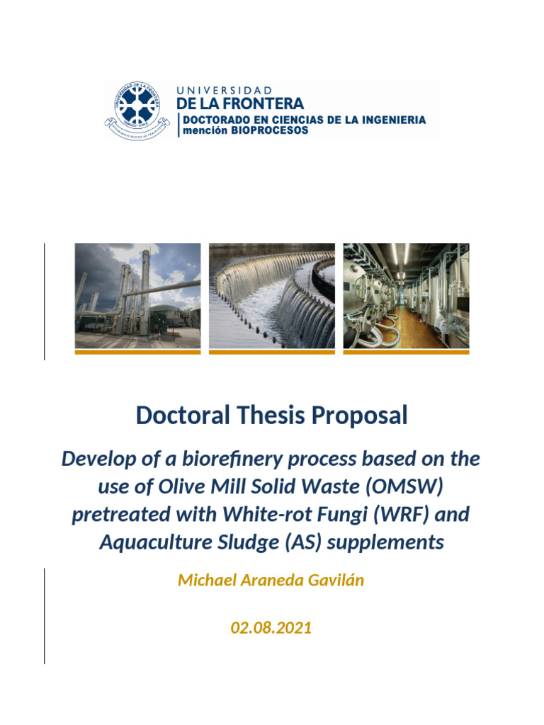 TEMPLATE For Doctoral Thesis Proposal - MAG (FPI) | PDF