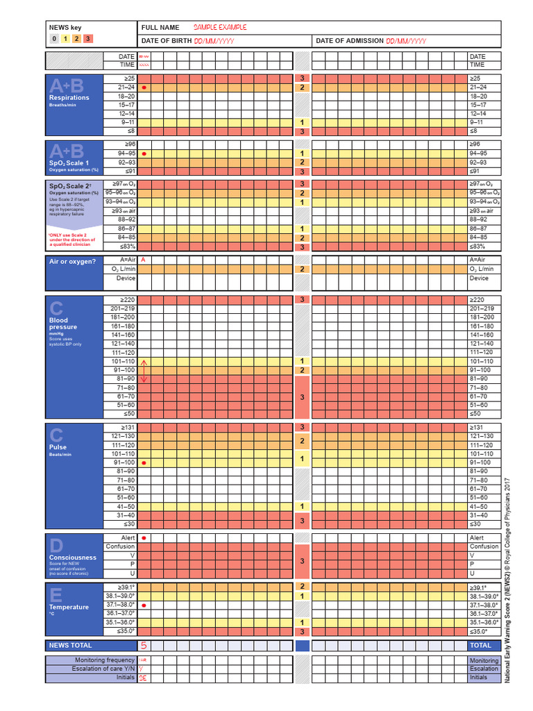 (EXAMPLE) National Early Warning Score (NEWS2) | PDF