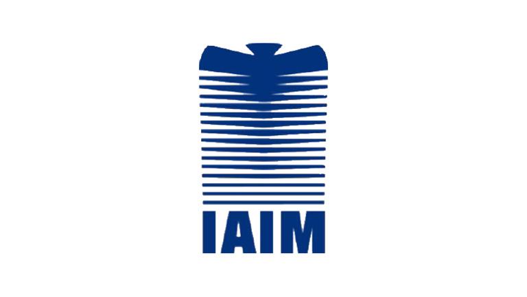 Iaim Sin Fondo | PDF