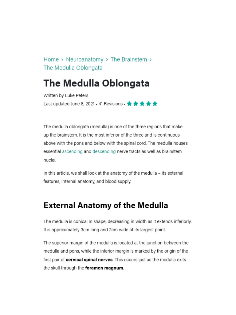 The Medulla Oblongata - Internal Structure - Vasculature - TeachMeAnatomy | PDF