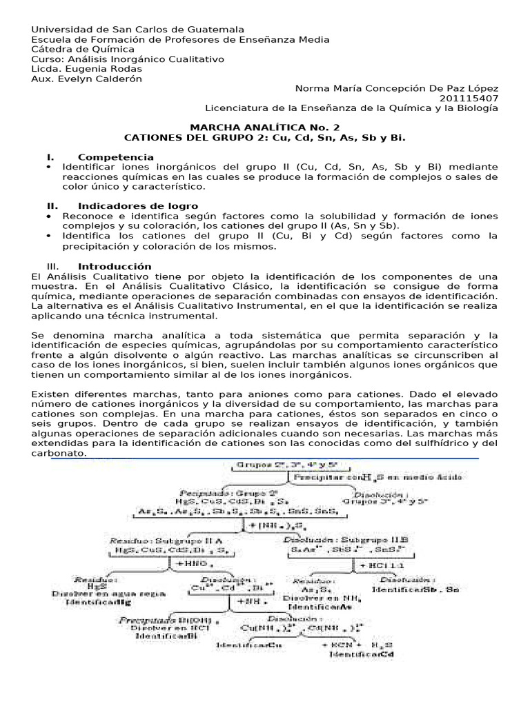 Instructivo Marcha Analítica 2 Análisis Cuali | PDF