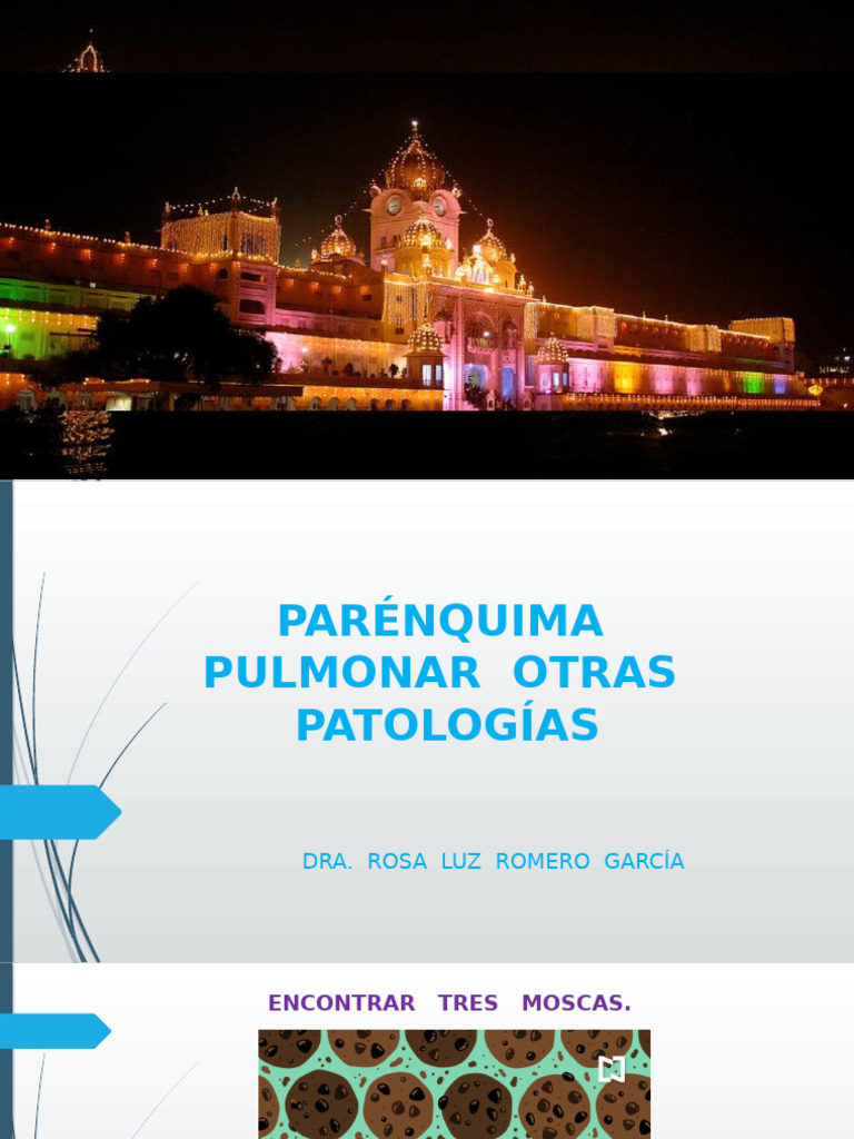 Parénq Pulm. Otras Patol | PDF