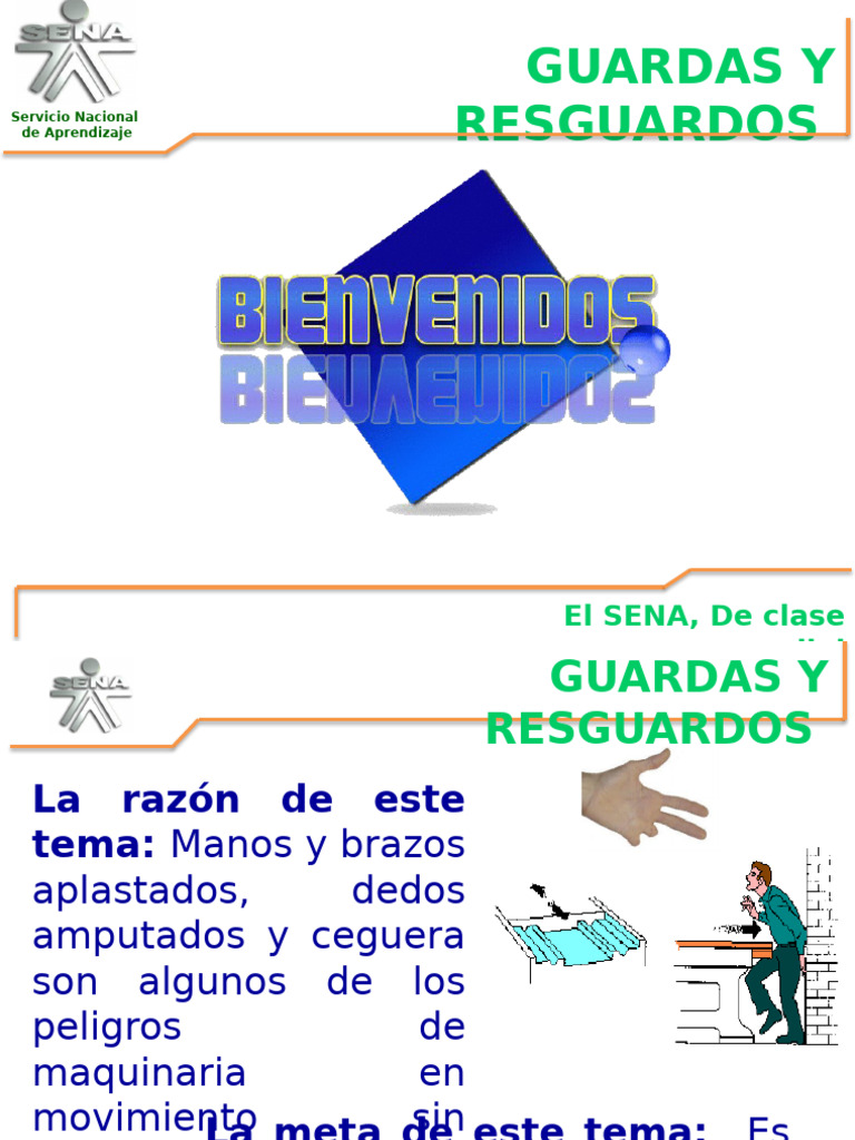 Unidad 5 VII Guardas-Y-Resguardos | PDF