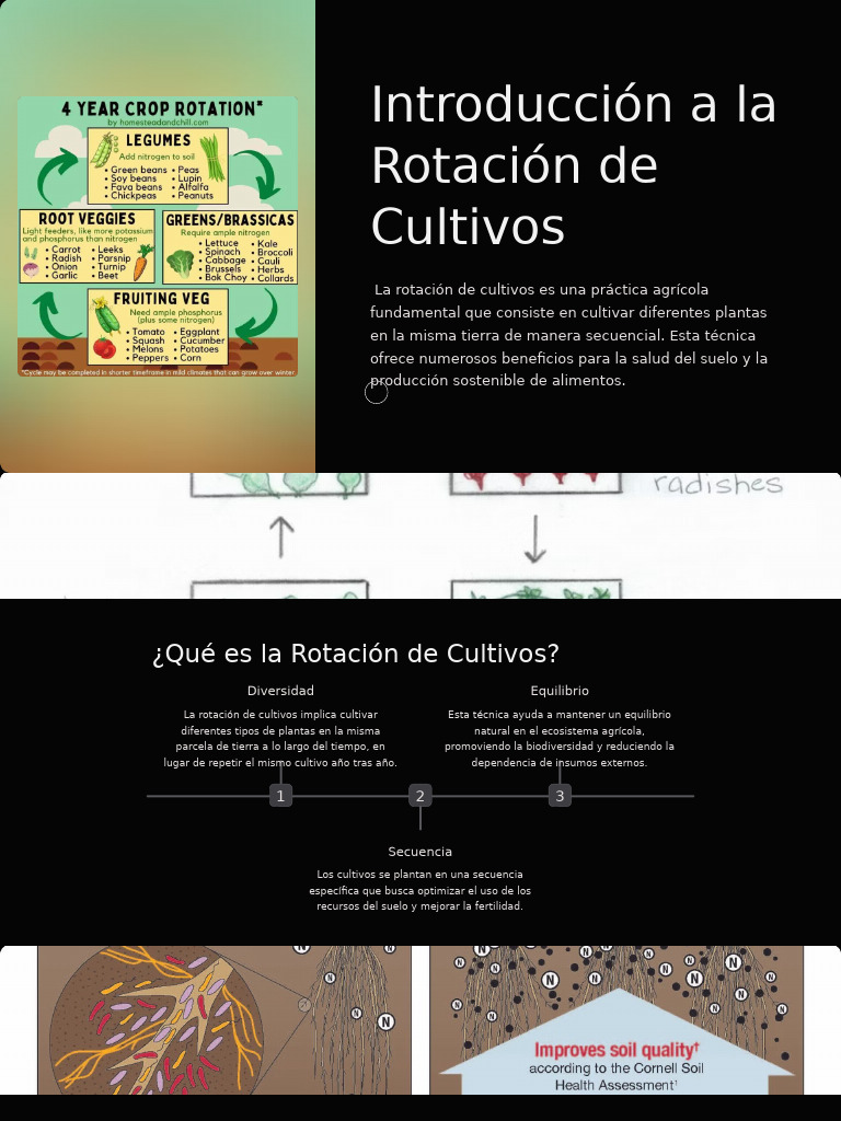 Rotacion de Cultivos | PDF | Agricultura | Hogar y jardín