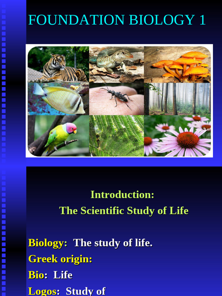 Introduction to Foundation Biology | PDF | Life | Eukaryotes