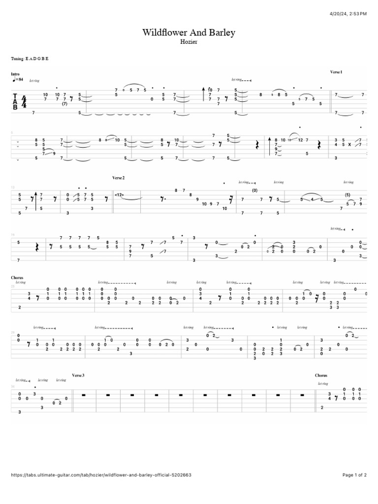 Wildflower and Barley Guitar Tab | PDF