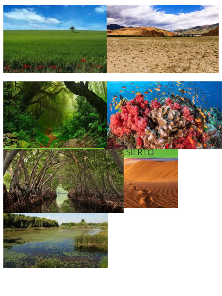 Geografia CLIMA IMAGENES | PDF