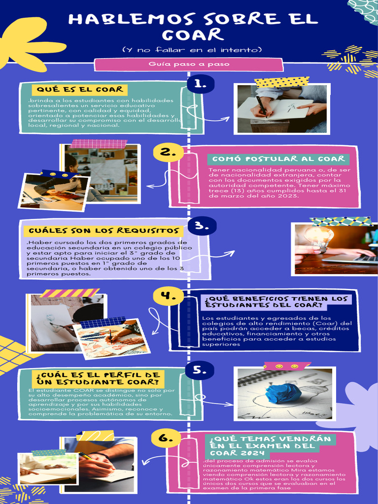 Infografía Sobre El COAR | PDF