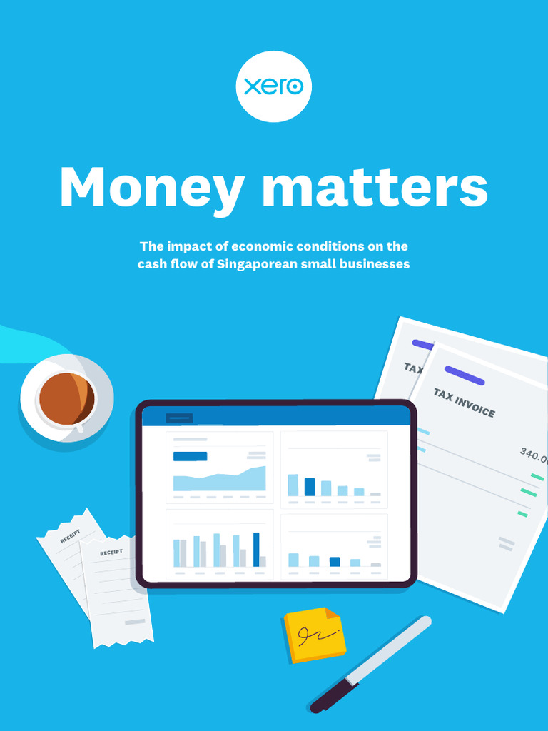FINAL XERO Money Matters SG Report | PDF
