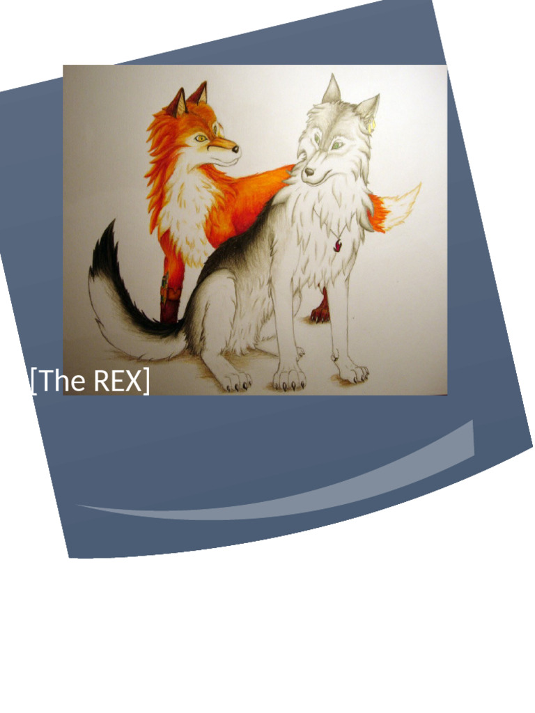 The REX | PDF