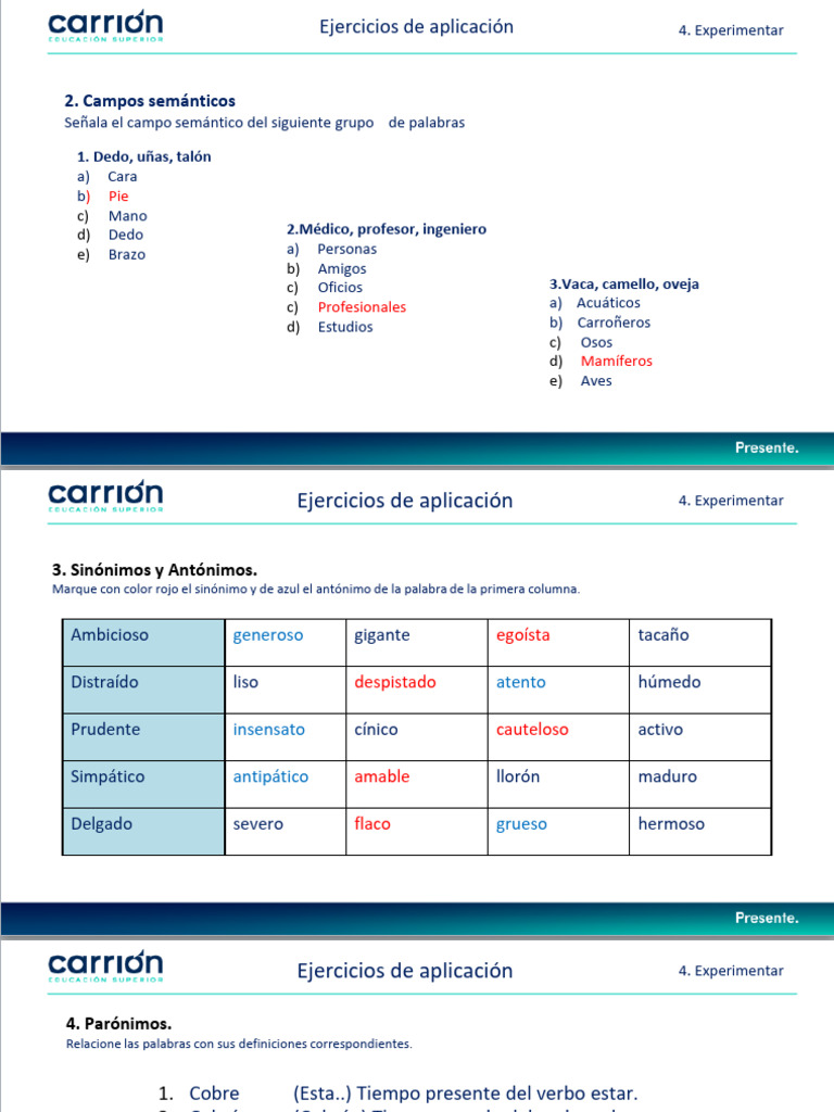 Ejercicio de Aplicacion - Comunicacion | PDF