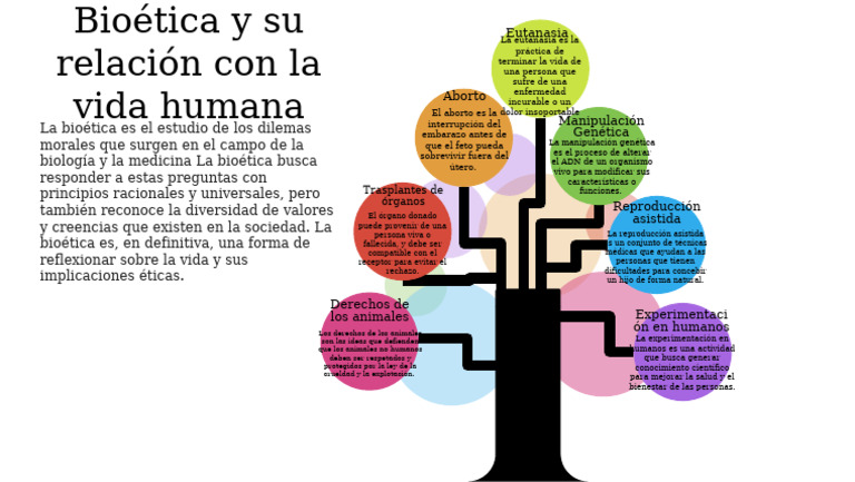 Bioética y Su Relación Con La Vida Humana | PDF