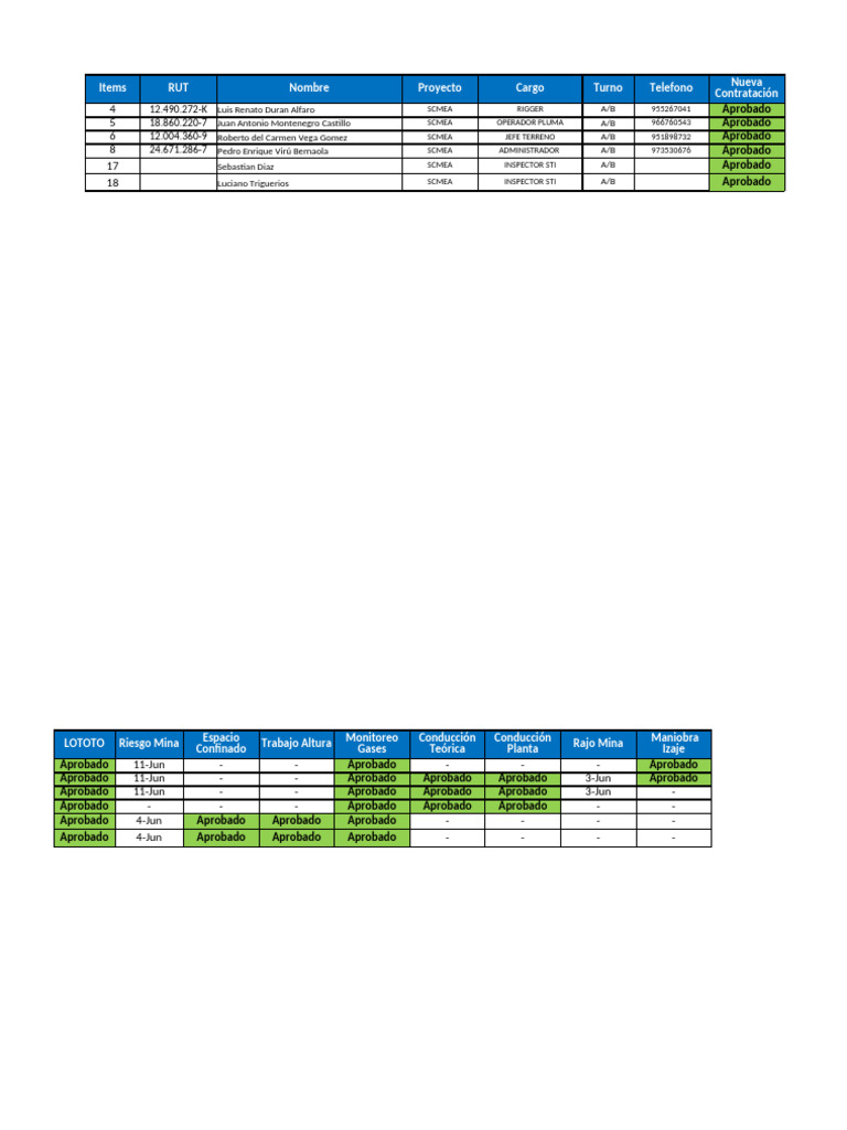 Planillas Varias Enecmdic - Rev2 | PDF
