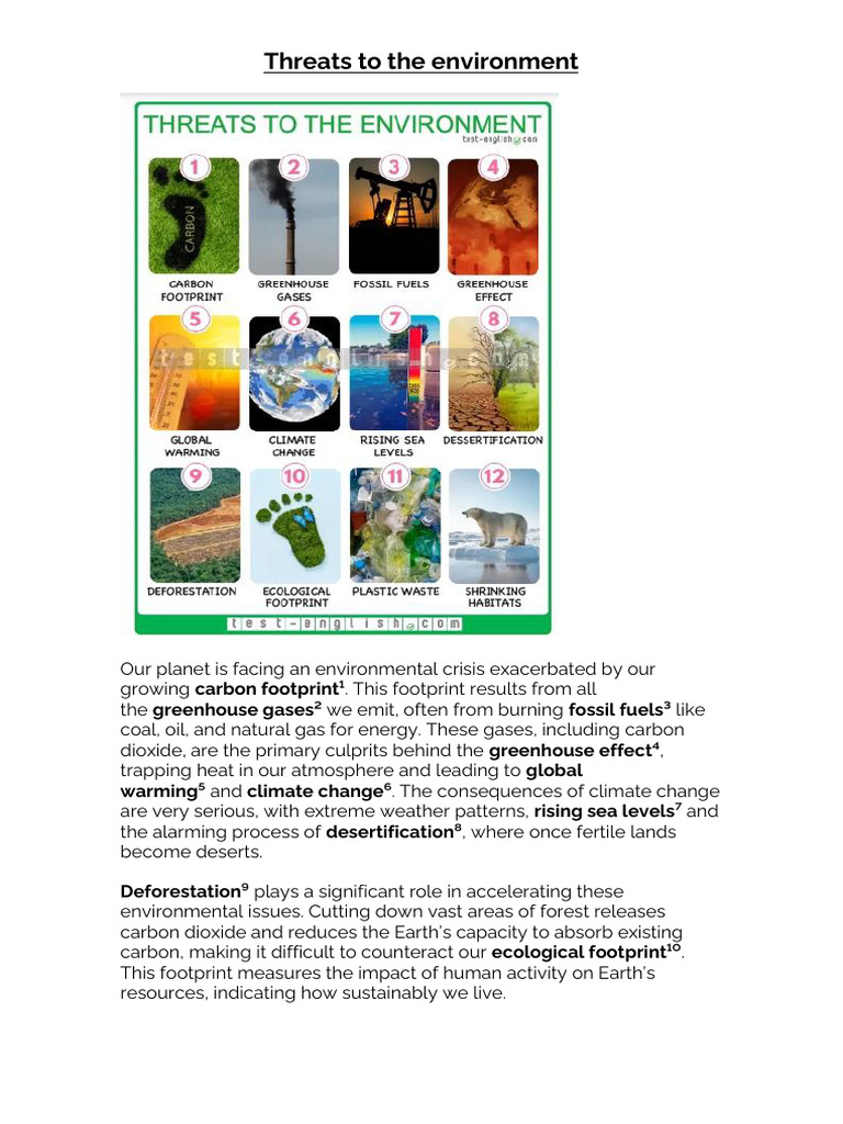 Vocabulary Environment - Pollution | PDF