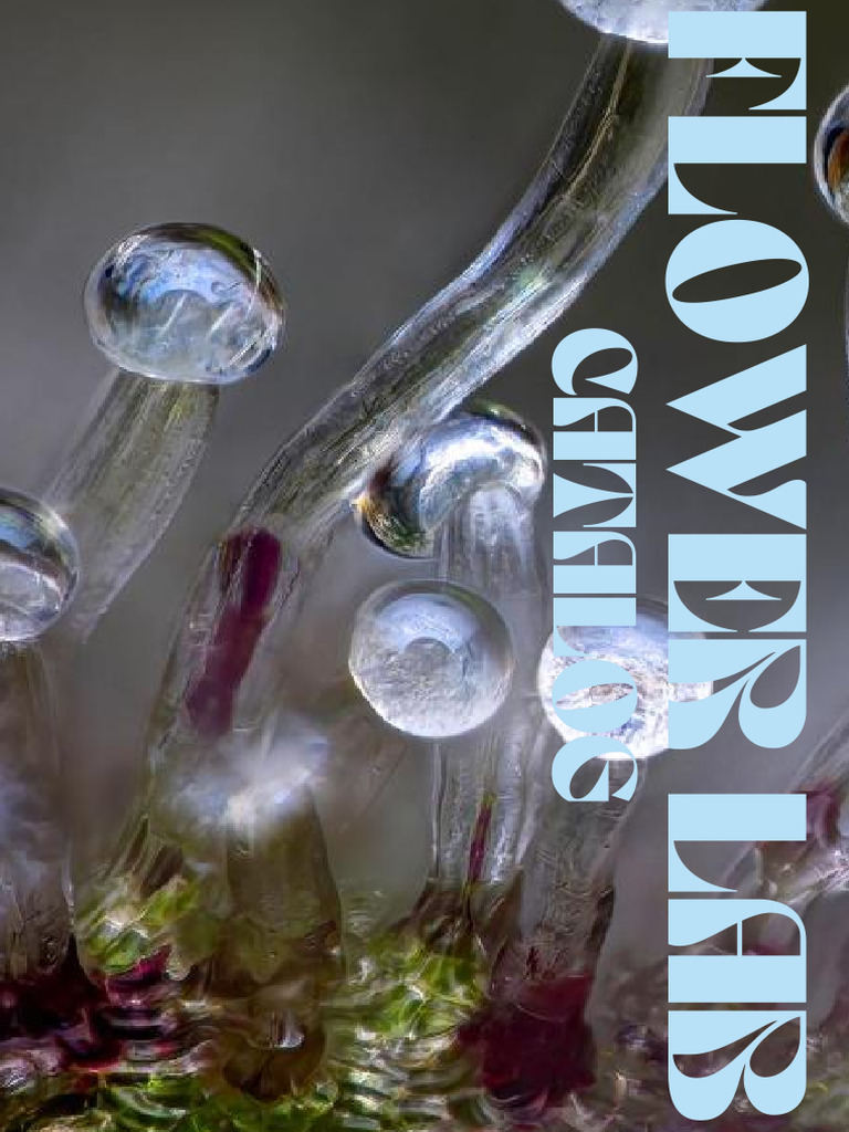 Flower Lab - 1 | PDF