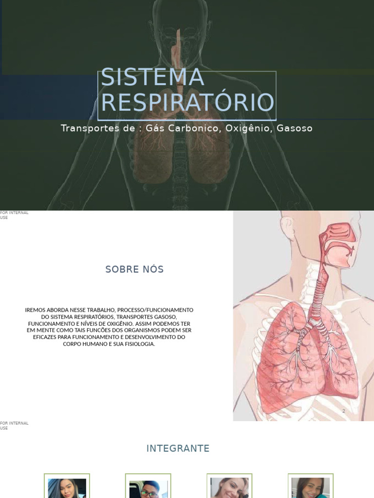 Sistema 2 Pdf