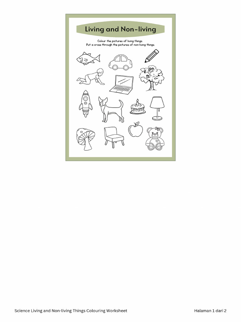 Science Living and Non-living Things Colouring Worksheet | PDF