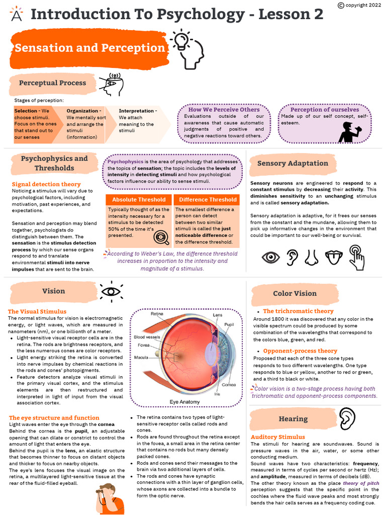 Introduction To Psychology - Sensation and Perception | PDF | Senses ...