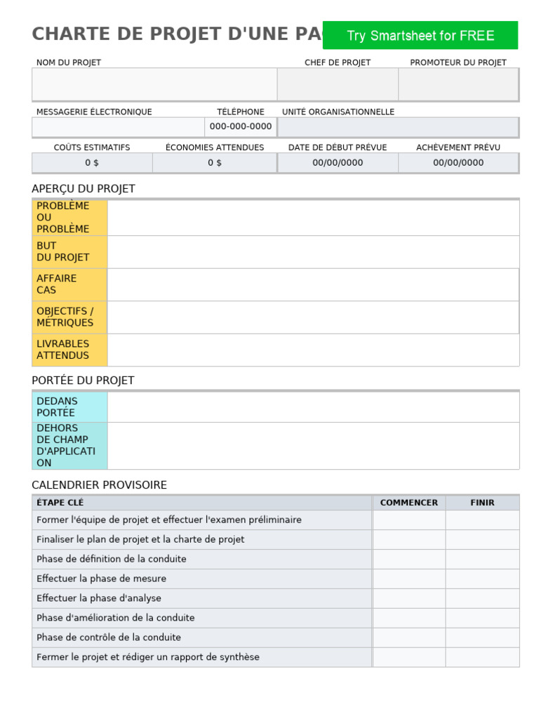 IC-One-Page-Project-Charter-17046_WORD_FR | PDF